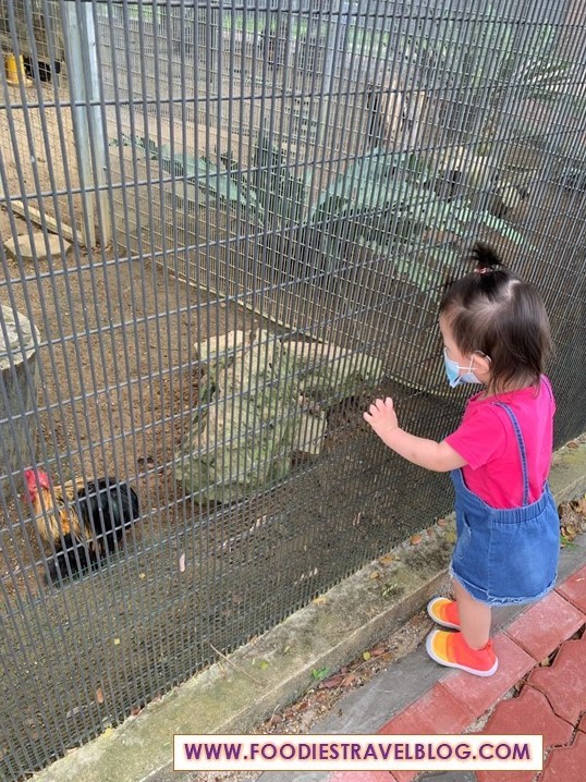 Five things to know before heading to Farm Fresh, UPM - A Food and ...